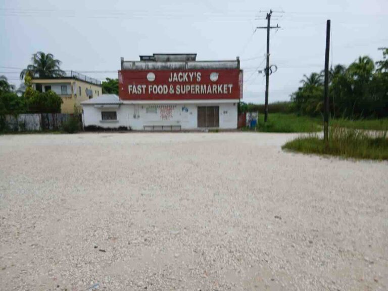JACKY'S MILE 8 FAST FOOD AND SUPERMARKET, WESTERN PARADISE VILLAGE ...